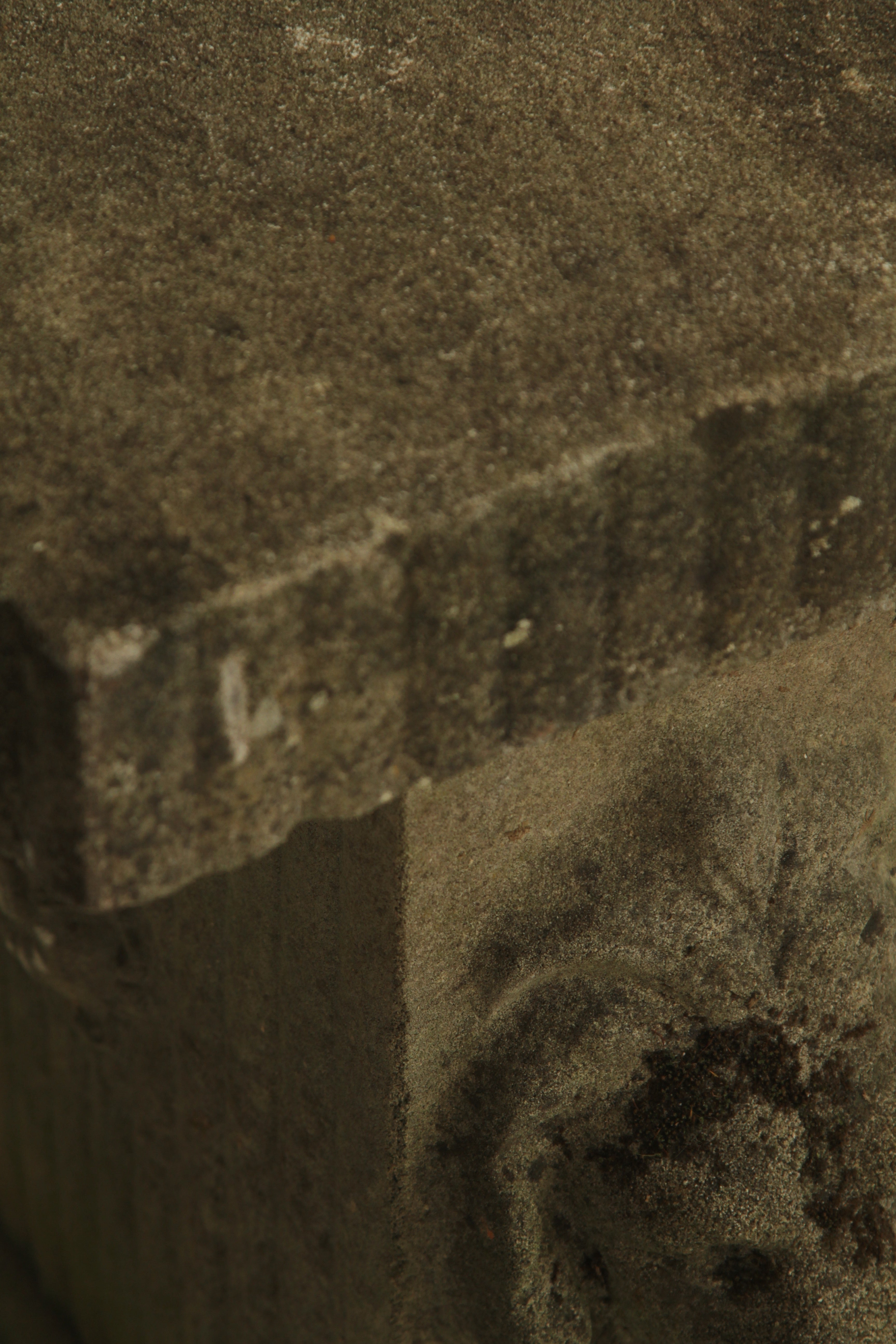 Stone Bench with Lion Motif – Hollie Bowden Interiors